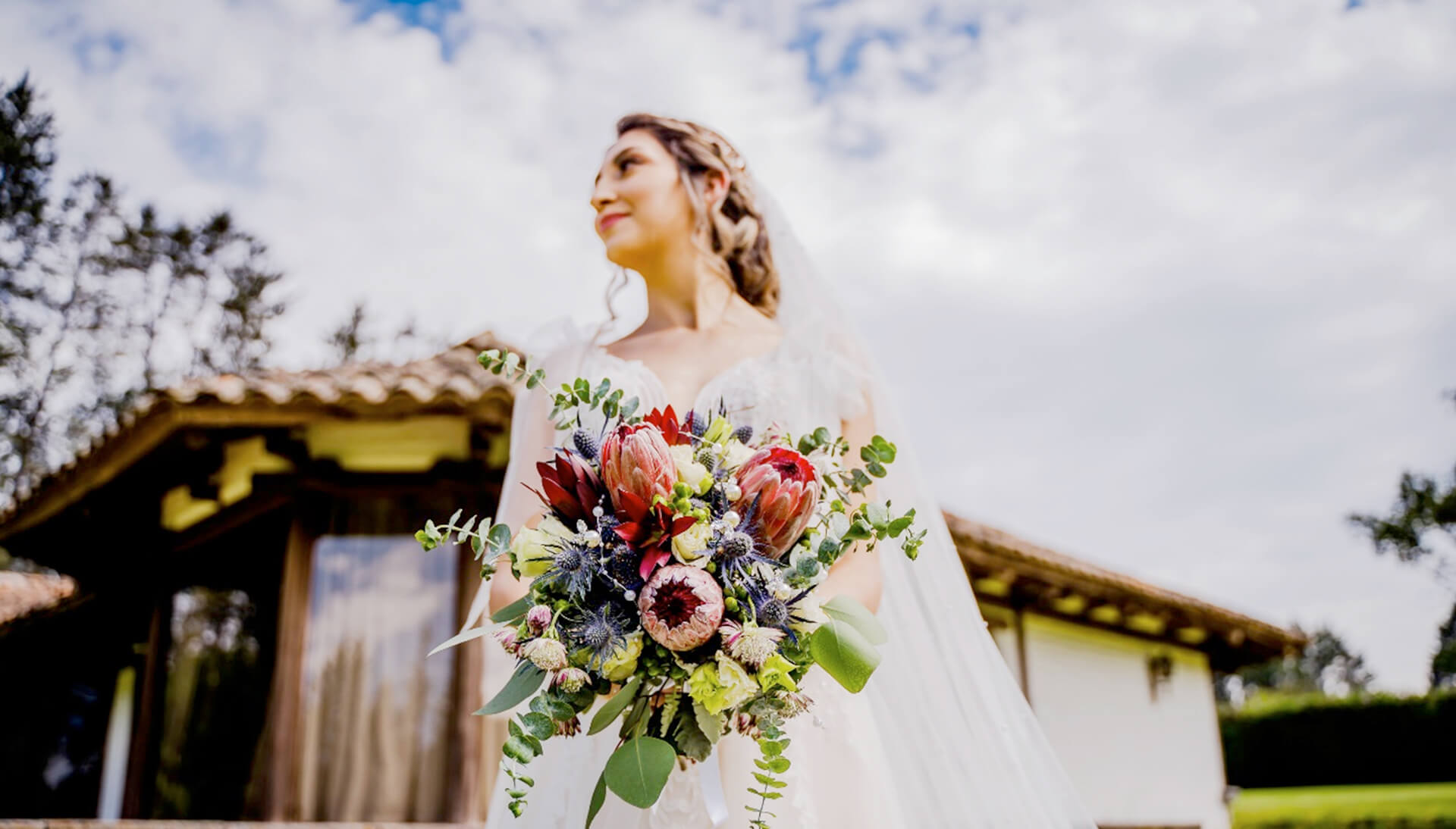 Proteasolandino S.A. - Las Proteas, flores perfectas para bodas
